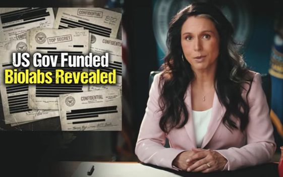 June 12, 2026 - DNI Tulsi Gabbard releases new information on 120 U.S ...